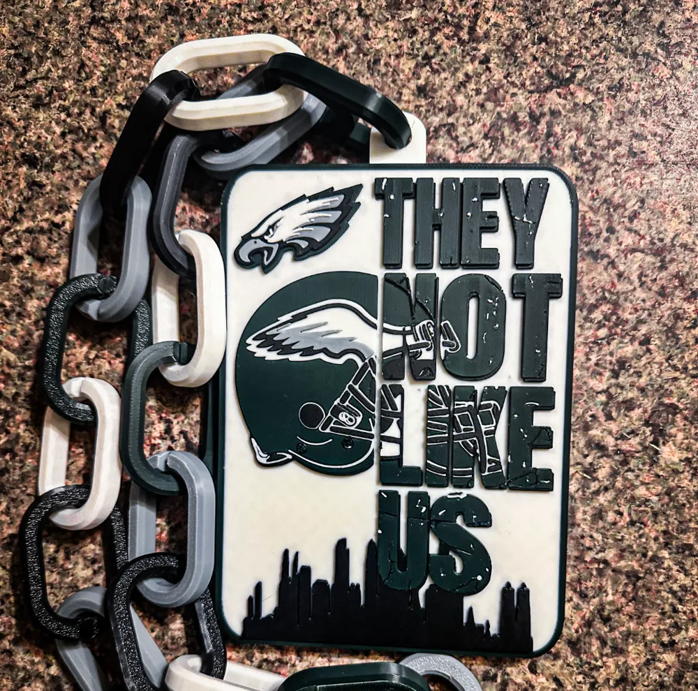 Philadelphia Eagles They Not Like Us Logo by Hamilton’s Custom ...