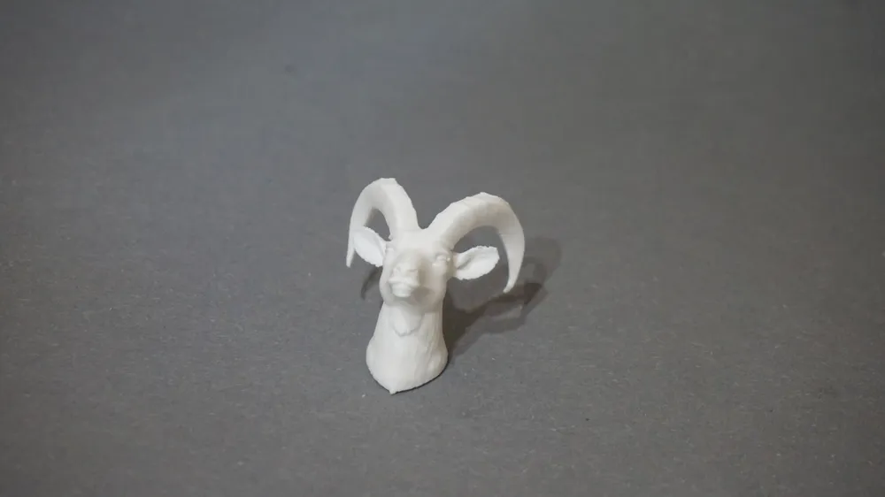 goat/widder head-hunting trophy (sizes vary 42min) by ...
