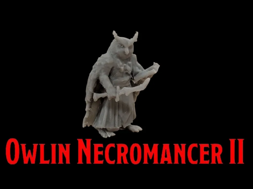 DnD Owlin Necromancer II Miniature by MikeGyver - MakerWorld