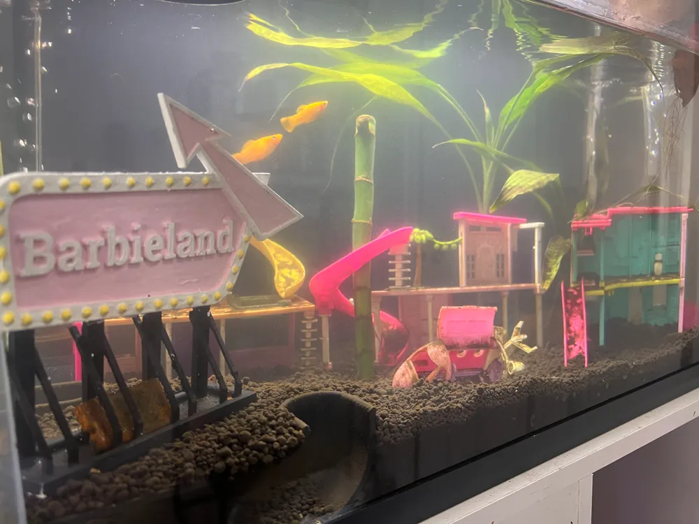 Barbie Land Fish Tank Sign by David Houston MakerWorld: Download Free ...