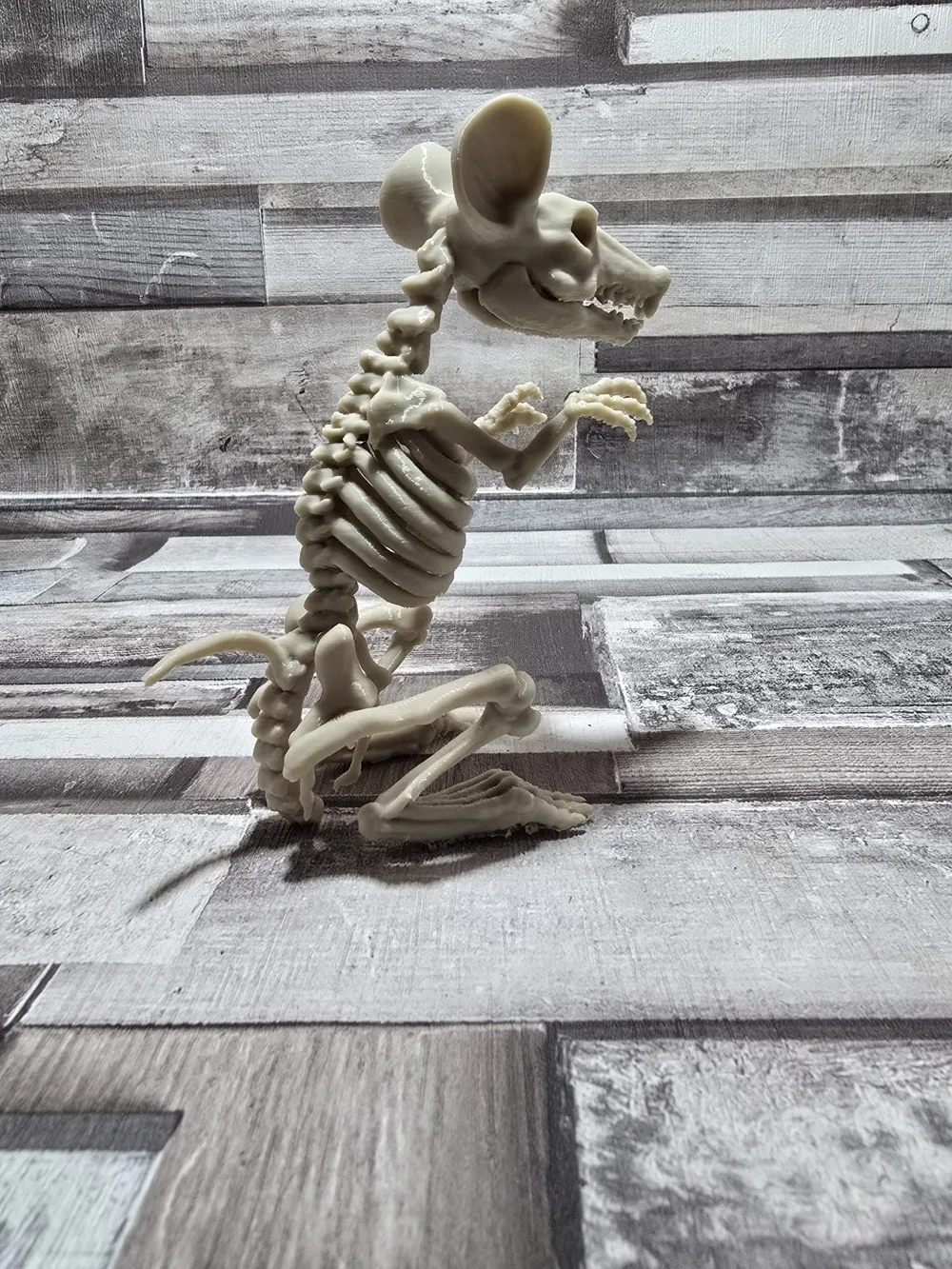 skeleton Mouse for halloween - Free 3D Print Model - MakerWorld