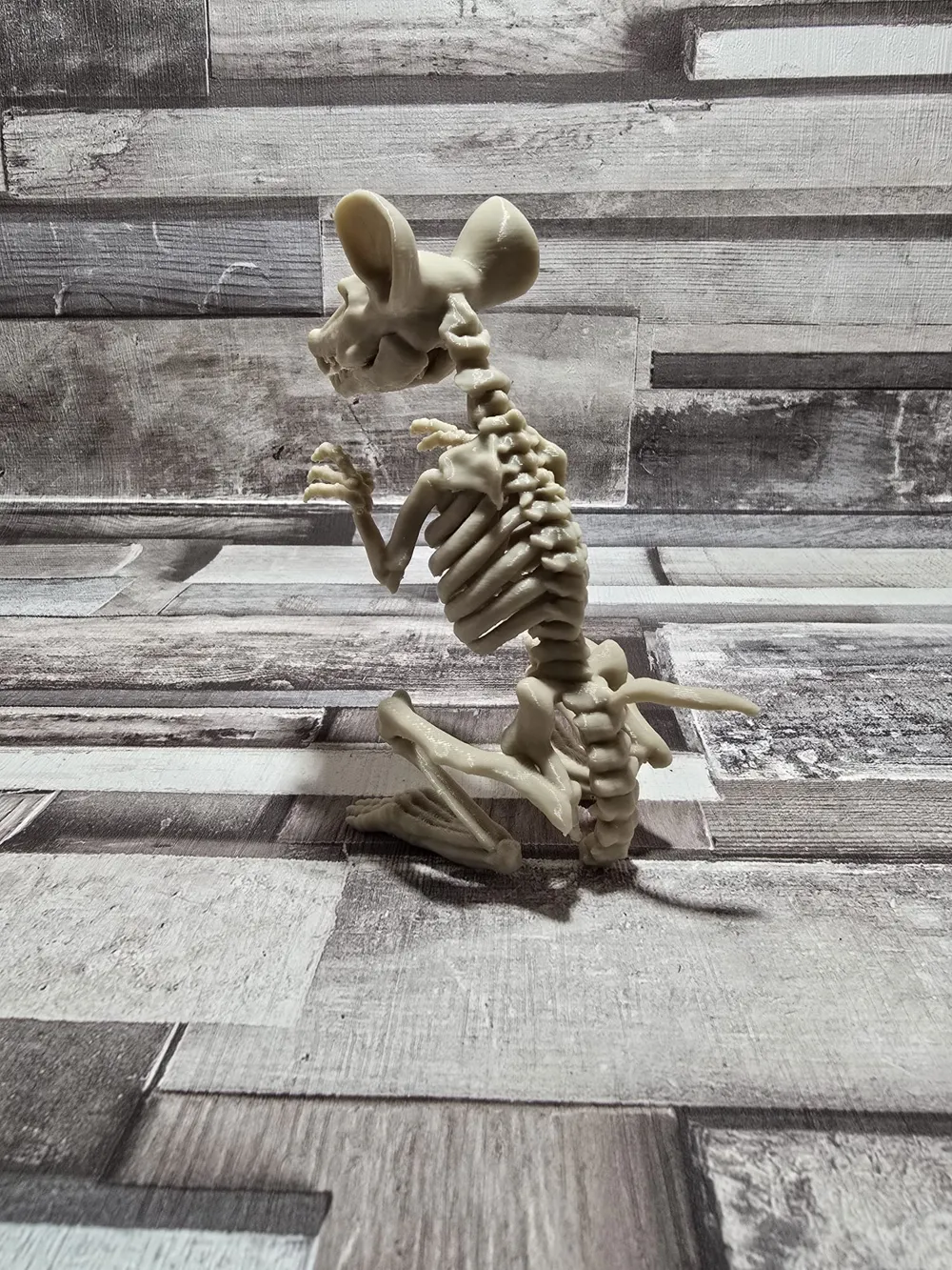 skeleton Mouse for halloween - Free 3D Print Model - MakerWorld