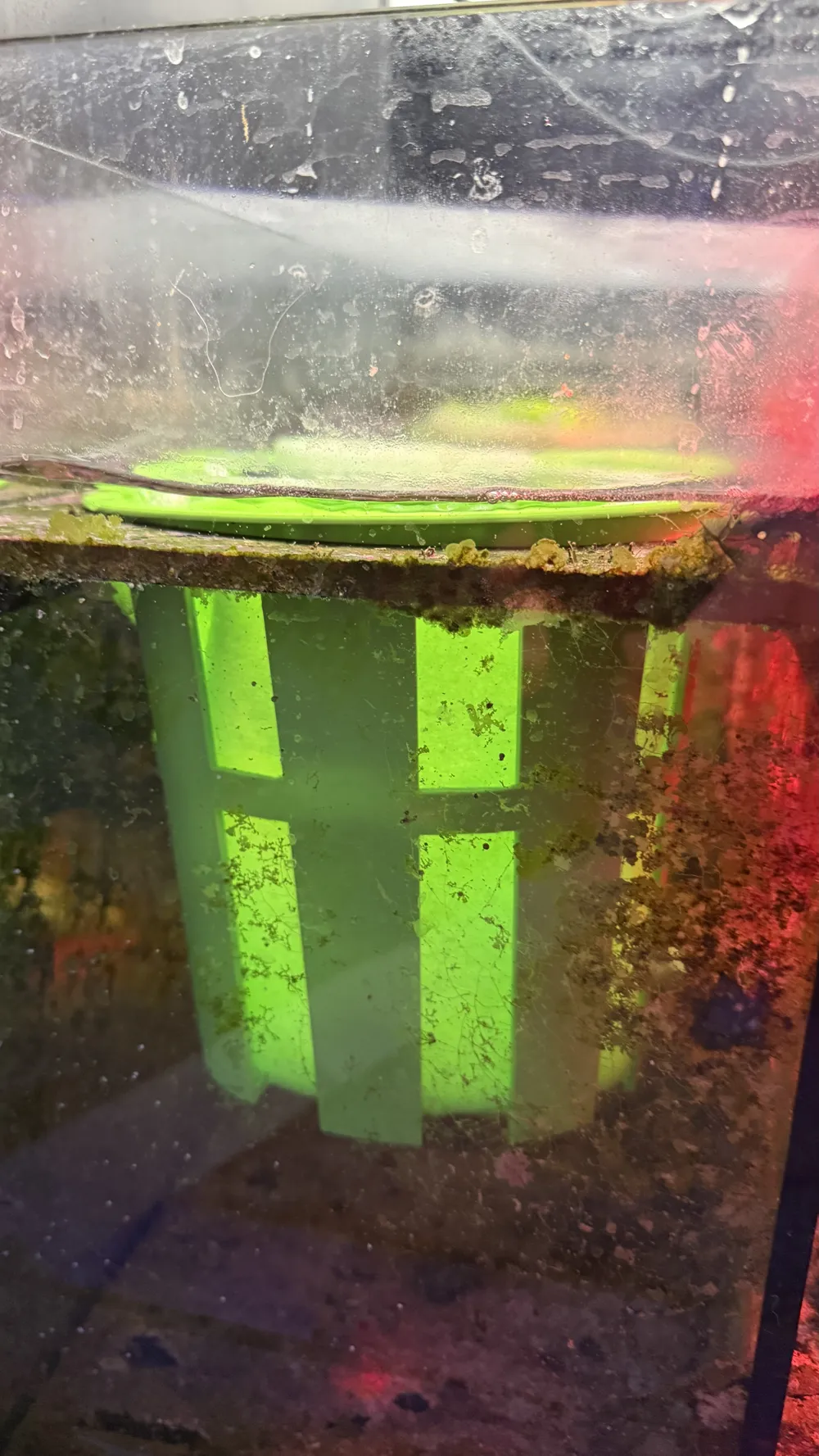 7 inch Filter Cup - Free 3D Print Model - MakerWorld