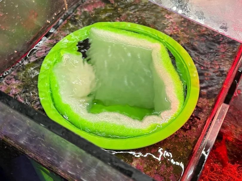 7 inch Filter Cup - Free 3D Print Model - MakerWorld