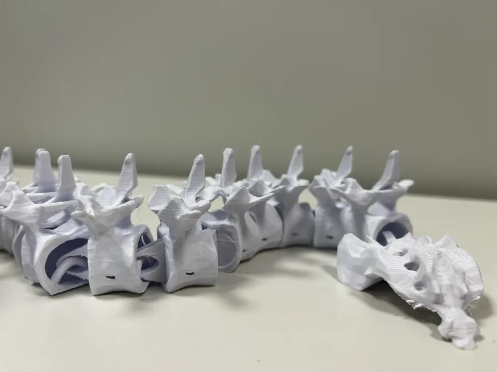 Articulated Halloween Spine and Skull - Free 3D Print Model - MakerWorld