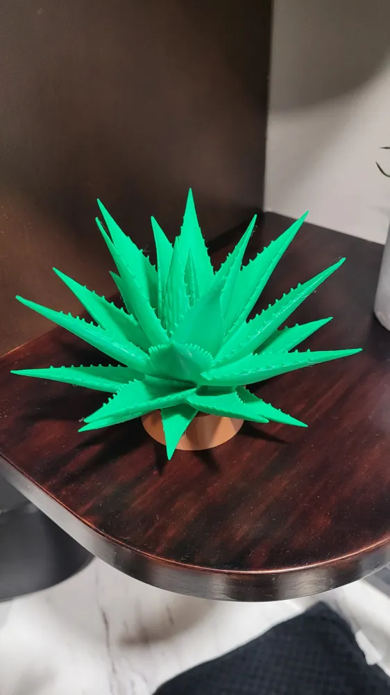 Aloe Vera - Free 3D Print Model - MakerWorld