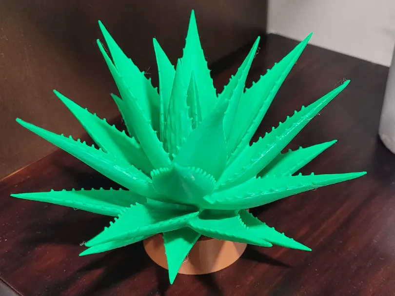 Aloe Vera - Free 3D Print Model - MakerWorld