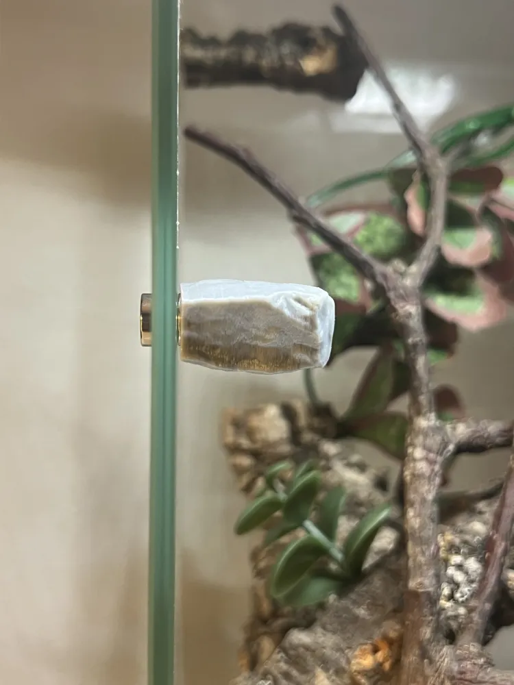 Magnetic rock platform for jumping spiders - Free 3D Print Model ...