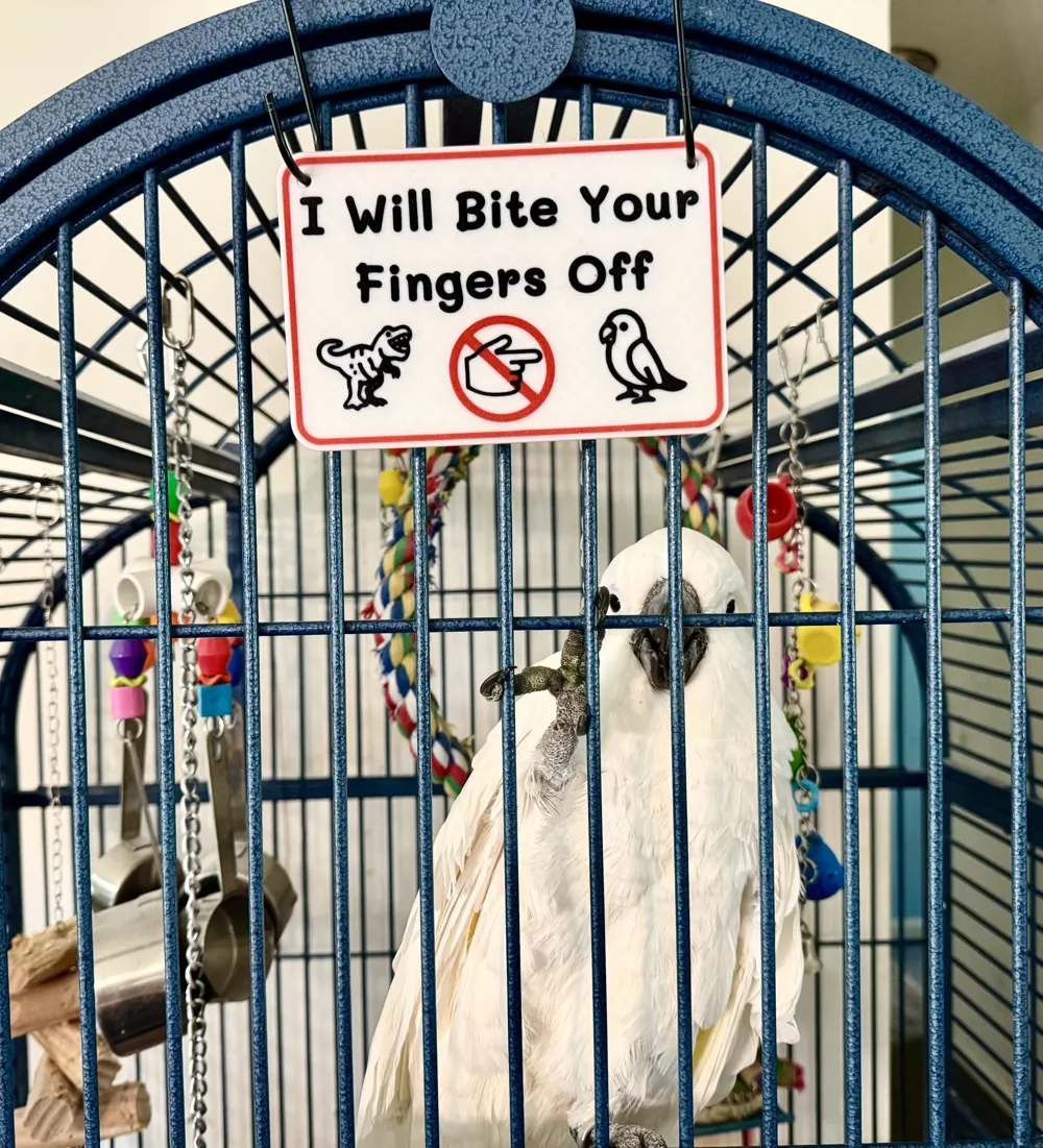 "I Will Bite Your Fingers Off" Sign for Parrots by HeatherMacAnanny ...