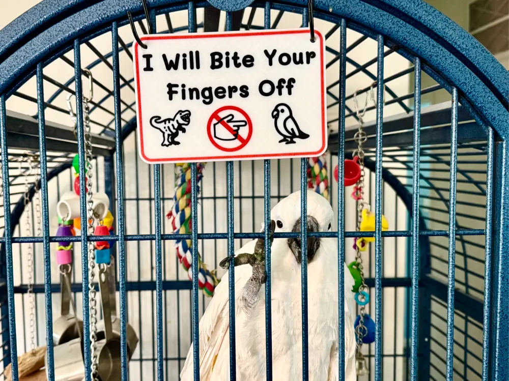 "I Will Bite Your Fingers Off" Sign for Parrots by HeatherMacAnanny ...