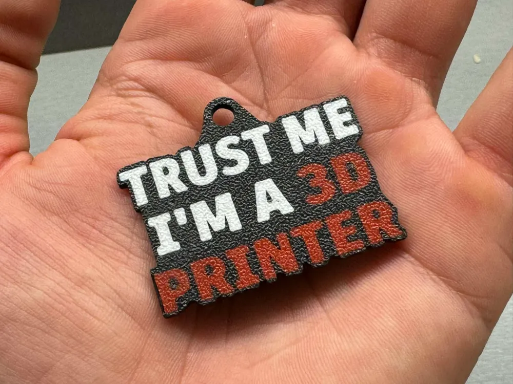 TRUST ME I'M A 3D PRINTER (GUY)-Keychain :) 30min by michsiv - MakerWorld