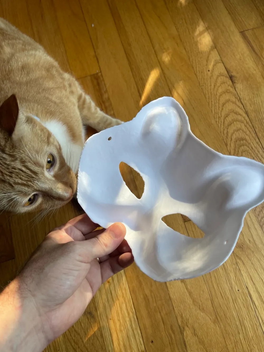 Human Sized Paintable Cat Mask by EmoticonEmolu MakerWorld: Download ...