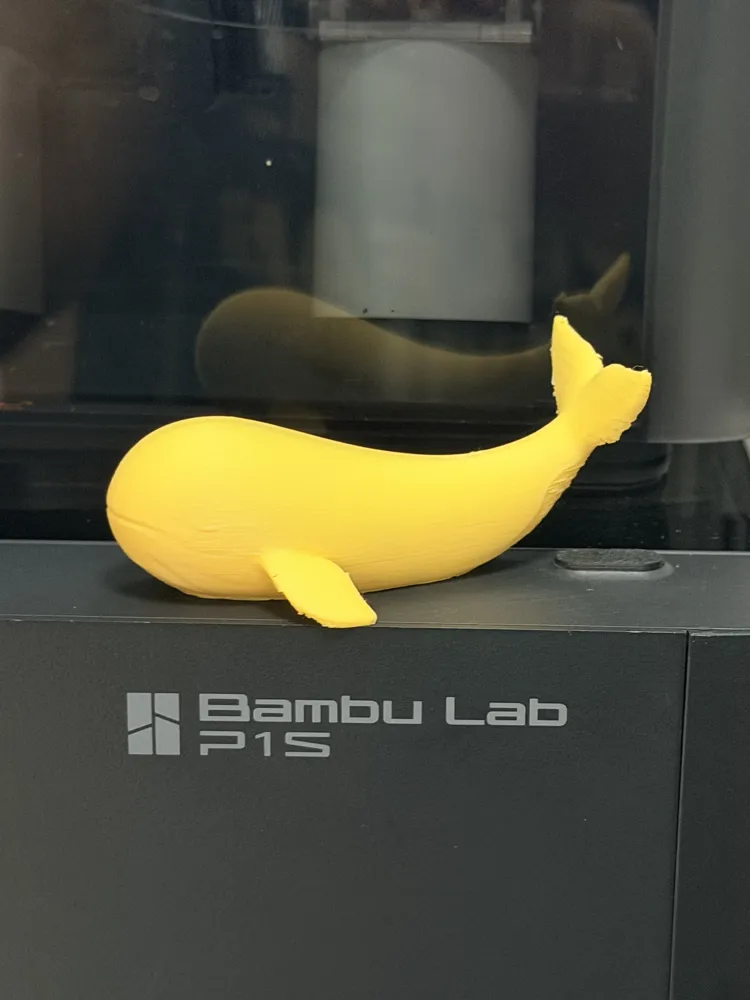 Whale - Free 3D Print Model - MakerWorld