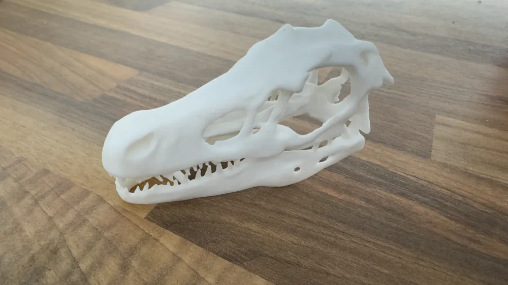 Velociraptor skull (10-45 Grams) by Sven MakerWorld: Download Free 3D ...