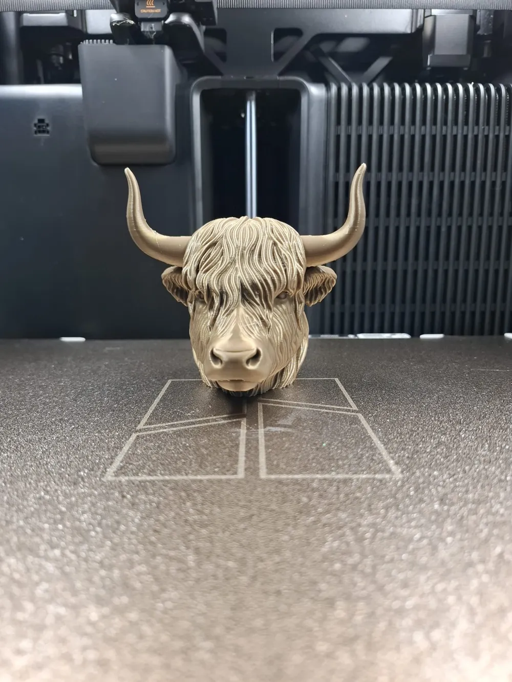 Highland Cow Head Bust - Free 3D Print Model - MakerWorld
