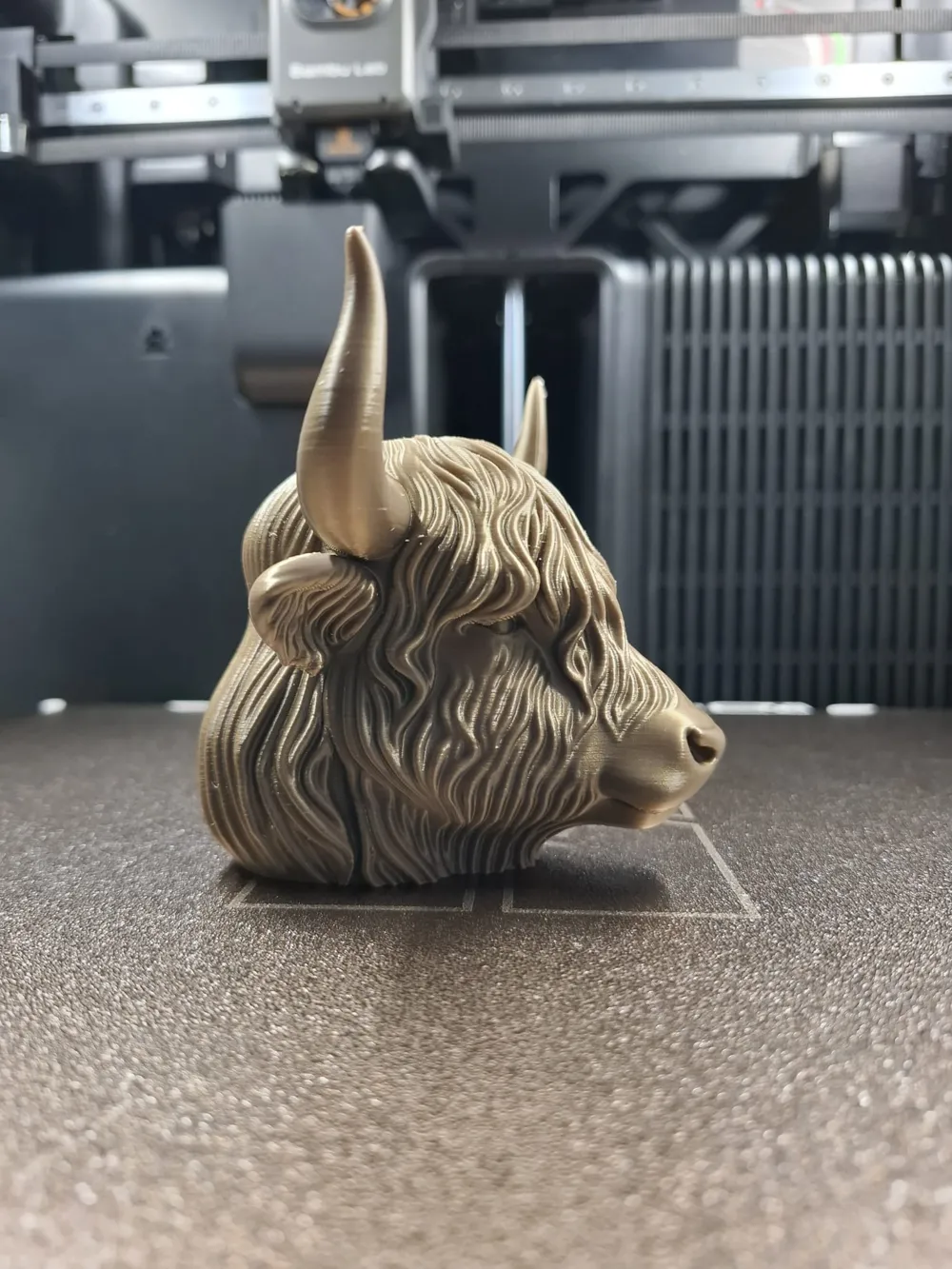 Highland Cow Head Bust - Free 3D Print Model - MakerWorld