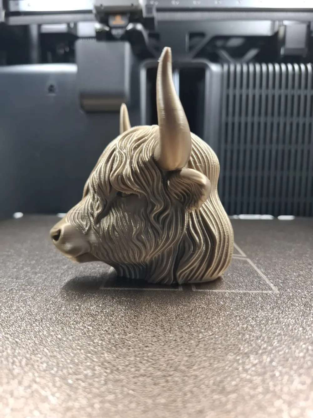 Highland Cow Head Bust - Free 3D Print Model - MakerWorld