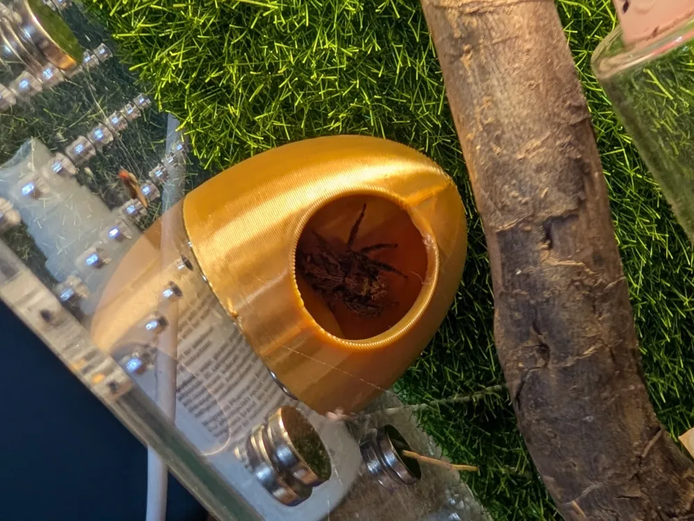 Jumping spider hide by Noidea MakerWorld: Download Free 3D Models