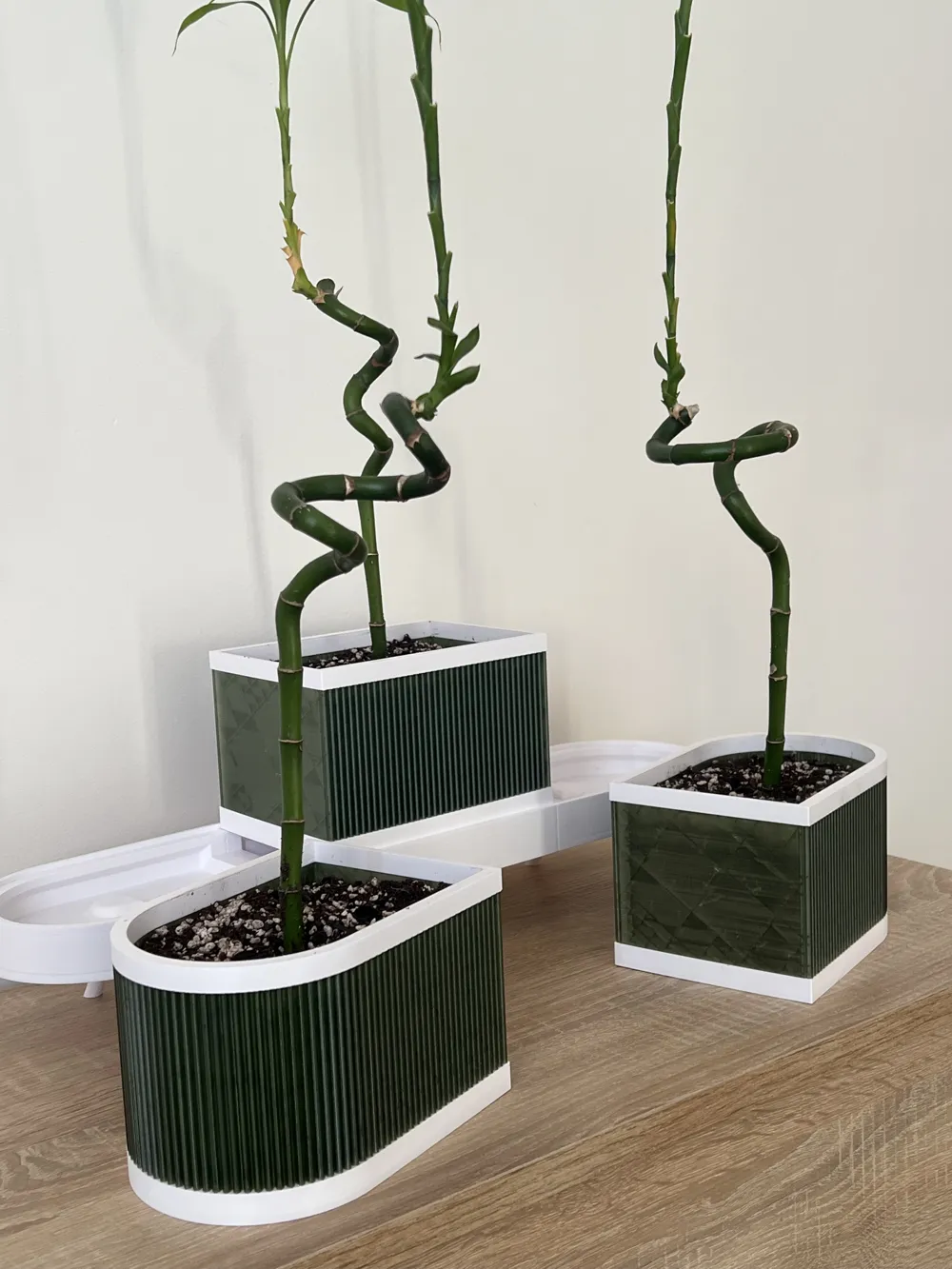 Modular Plant Pot by Eugen.Sh MakerWorld: Download Free 3D Models