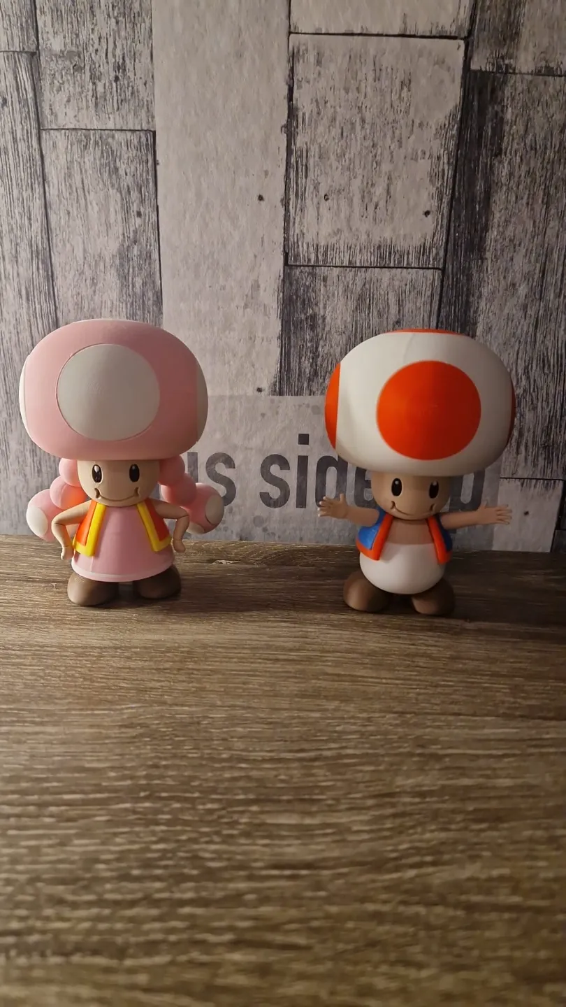 Toadette (Super Mario) Remixed by Faeriell - MakerWorld