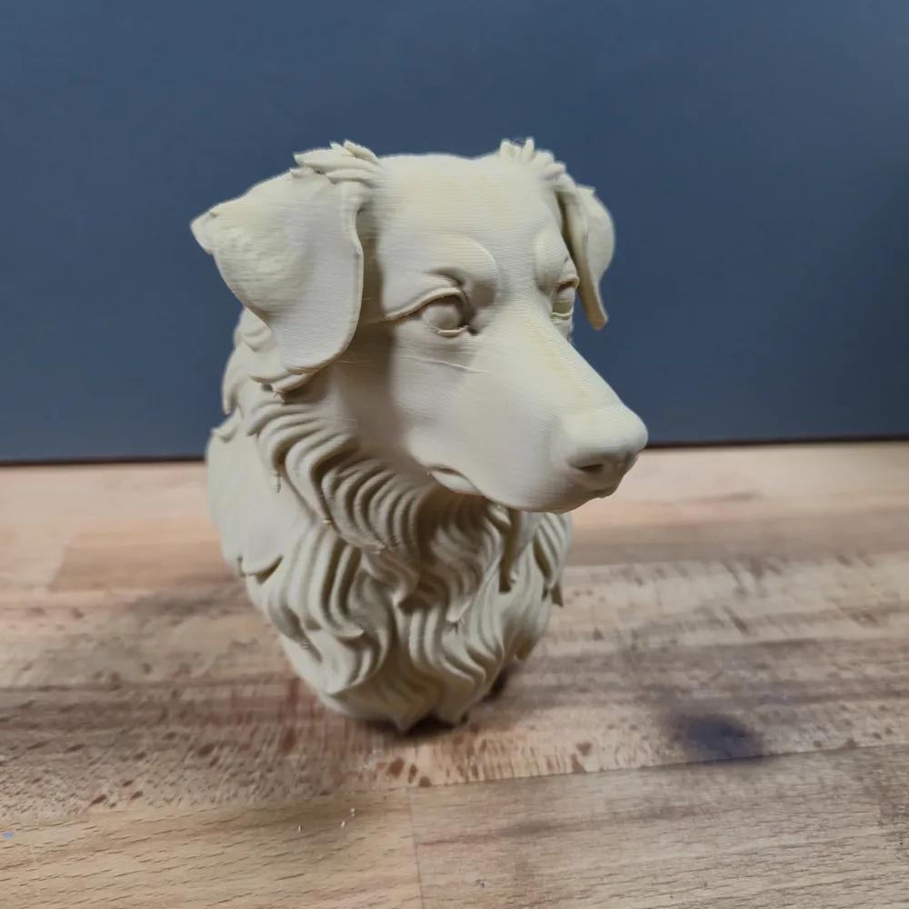 Australian Shepherd Bust - Free 3D Print Model - MakerWorld