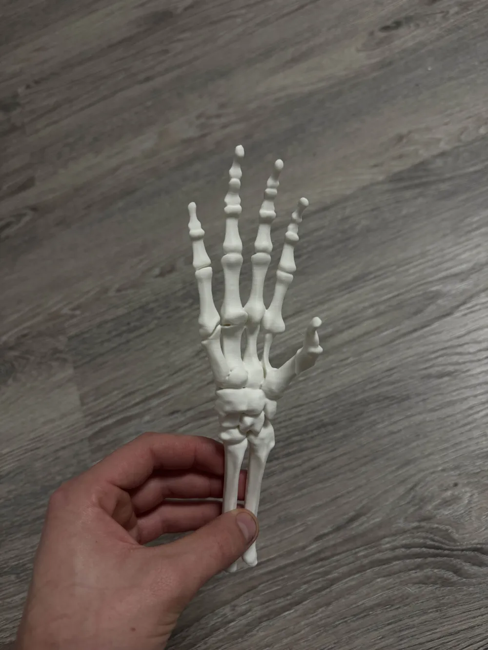 Skeleton Hand Model – Decoration or Learning Aid - Free 3D Print Model ...