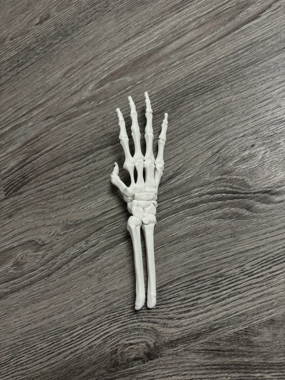 Skeleton Hand Model – Decoration or Learning Aid - Free 3D Print Model ...