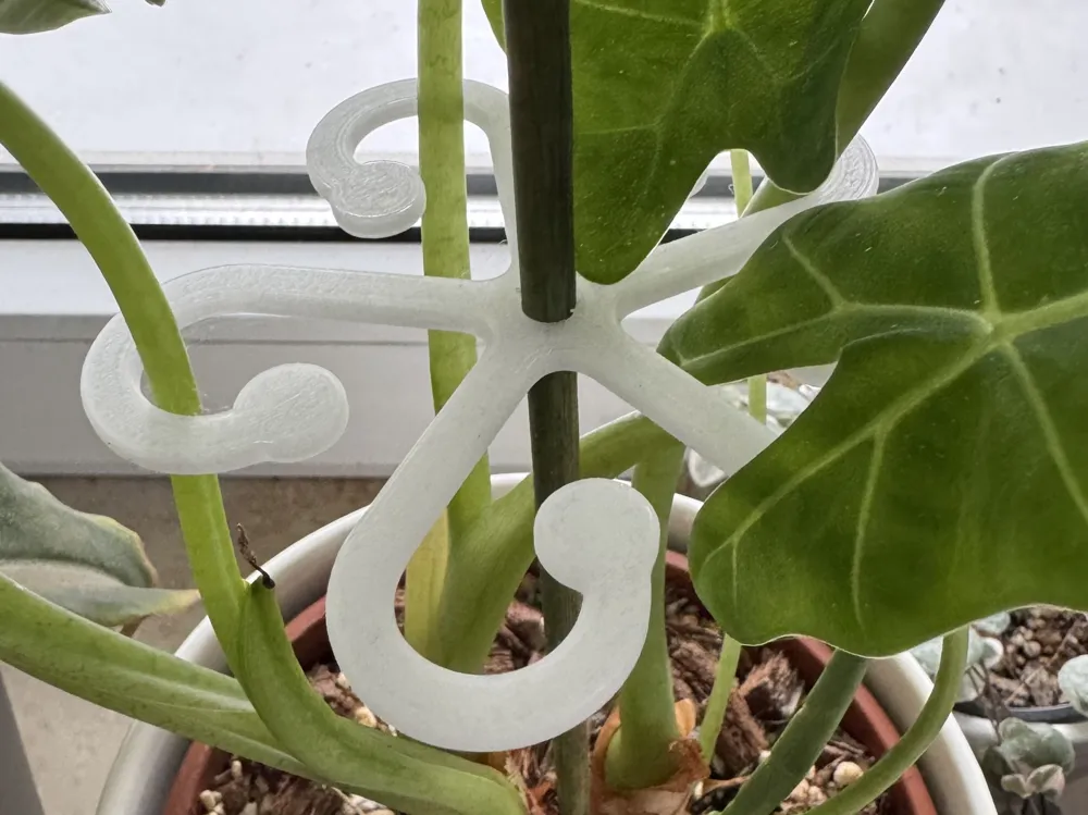 Plant Support - Free 3D Print Model - MakerWorld