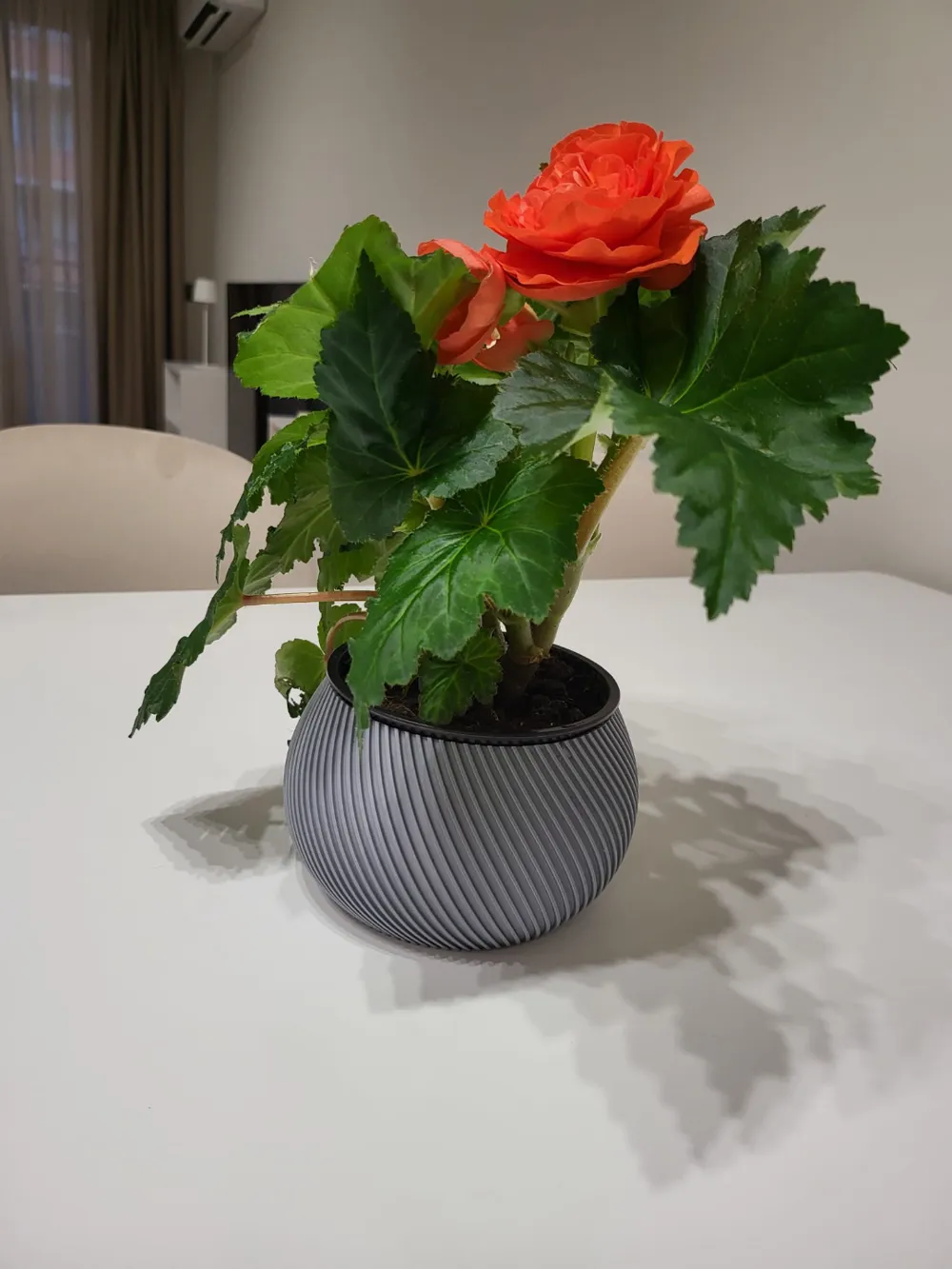 Short Wide Vase by rosenbebov - MakerWorld