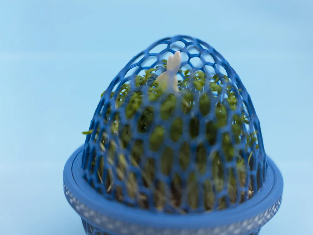 Heat Formed Easter Egg – Candy, Plant & Decor - Free 3D Print Model ...