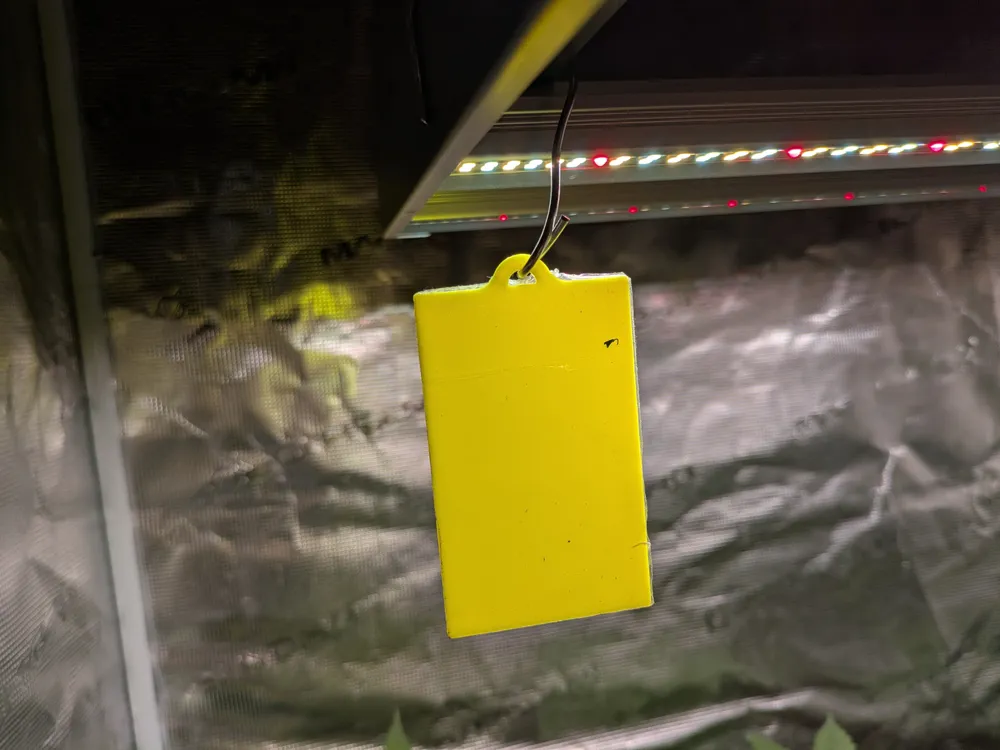 Insects Sticky Trap for 50mm double sided tape - Free 3D Print Model ...