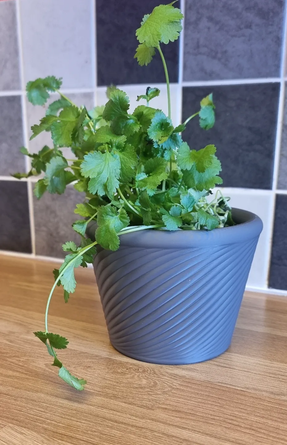 Circular Flower Pot by RDesignServices - MakerWorld