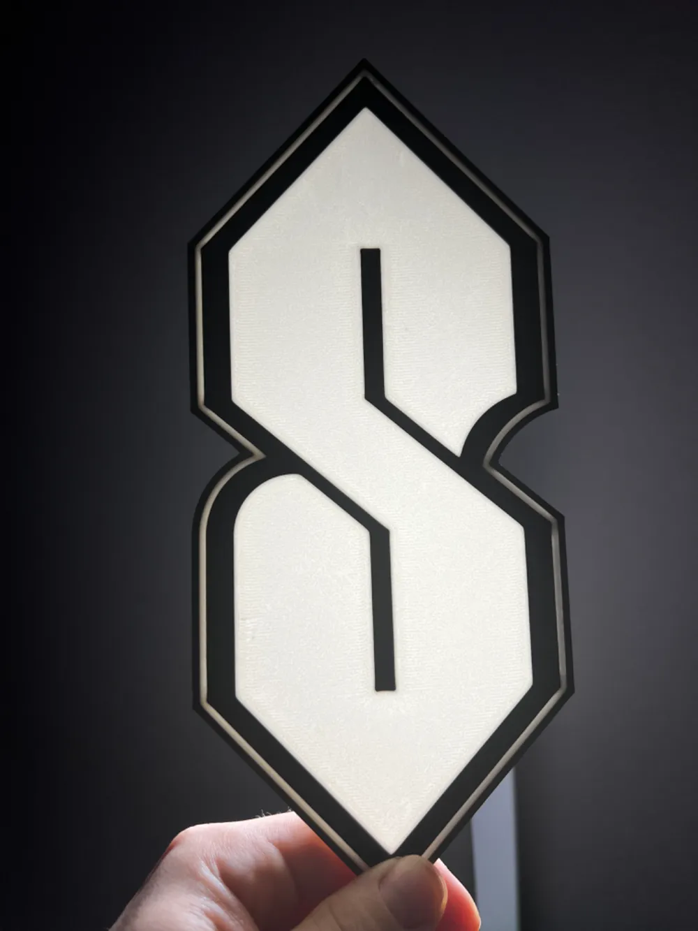 The Famous "S" IFYKYK by marky3d - MakerWorld
