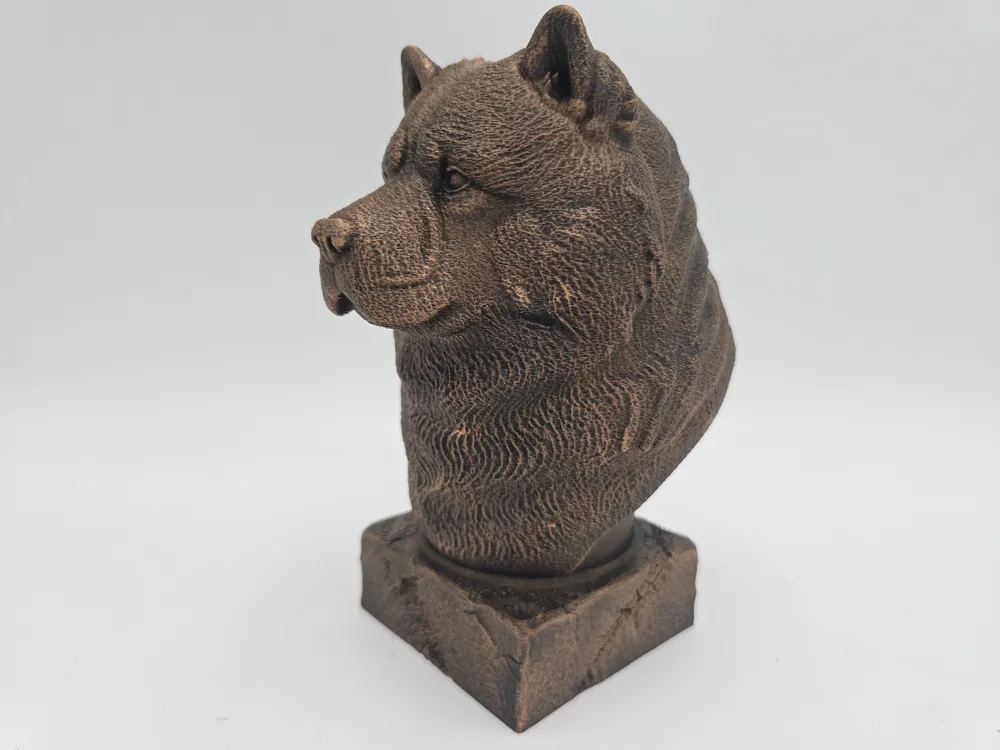 CHOW CHOW BUST by Messy_Panda MakerWorld: Download Free 3D Models