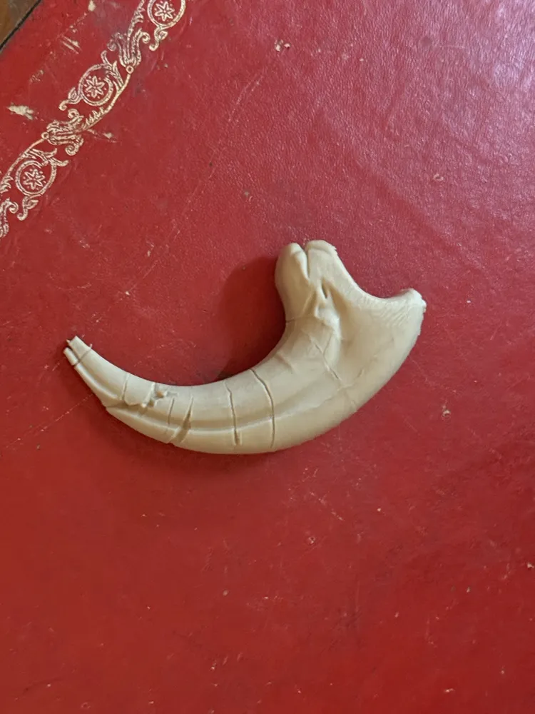 Deinonychus “Velociraptor” Claw –Life-Size Replica - Free 3D Print ...