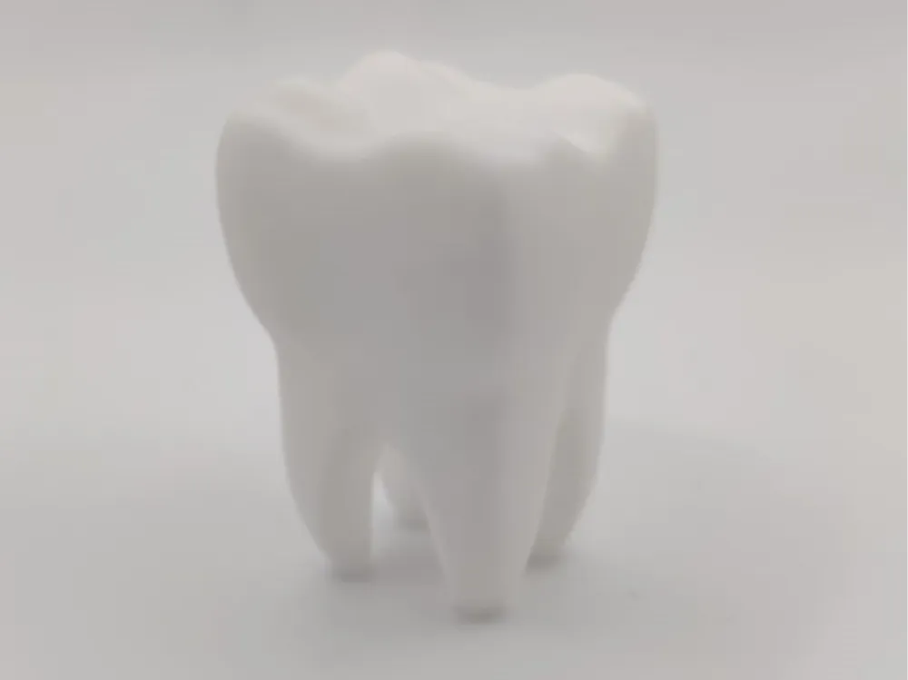 Tooth molar - Free 3D Print Model - MakerWorld