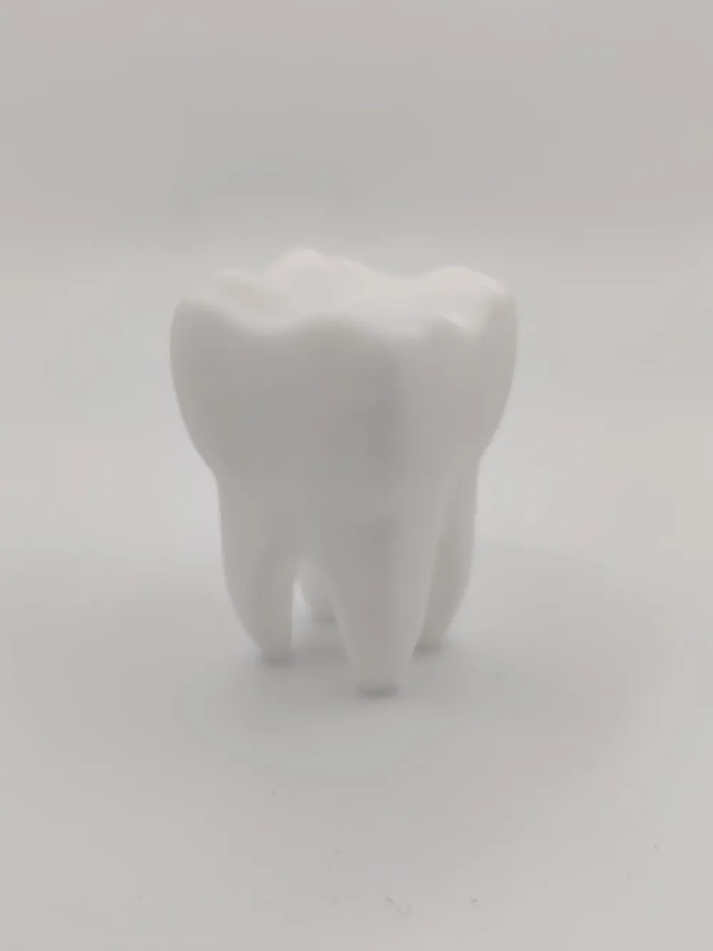 Tooth molar - Free 3D Print Model - MakerWorld