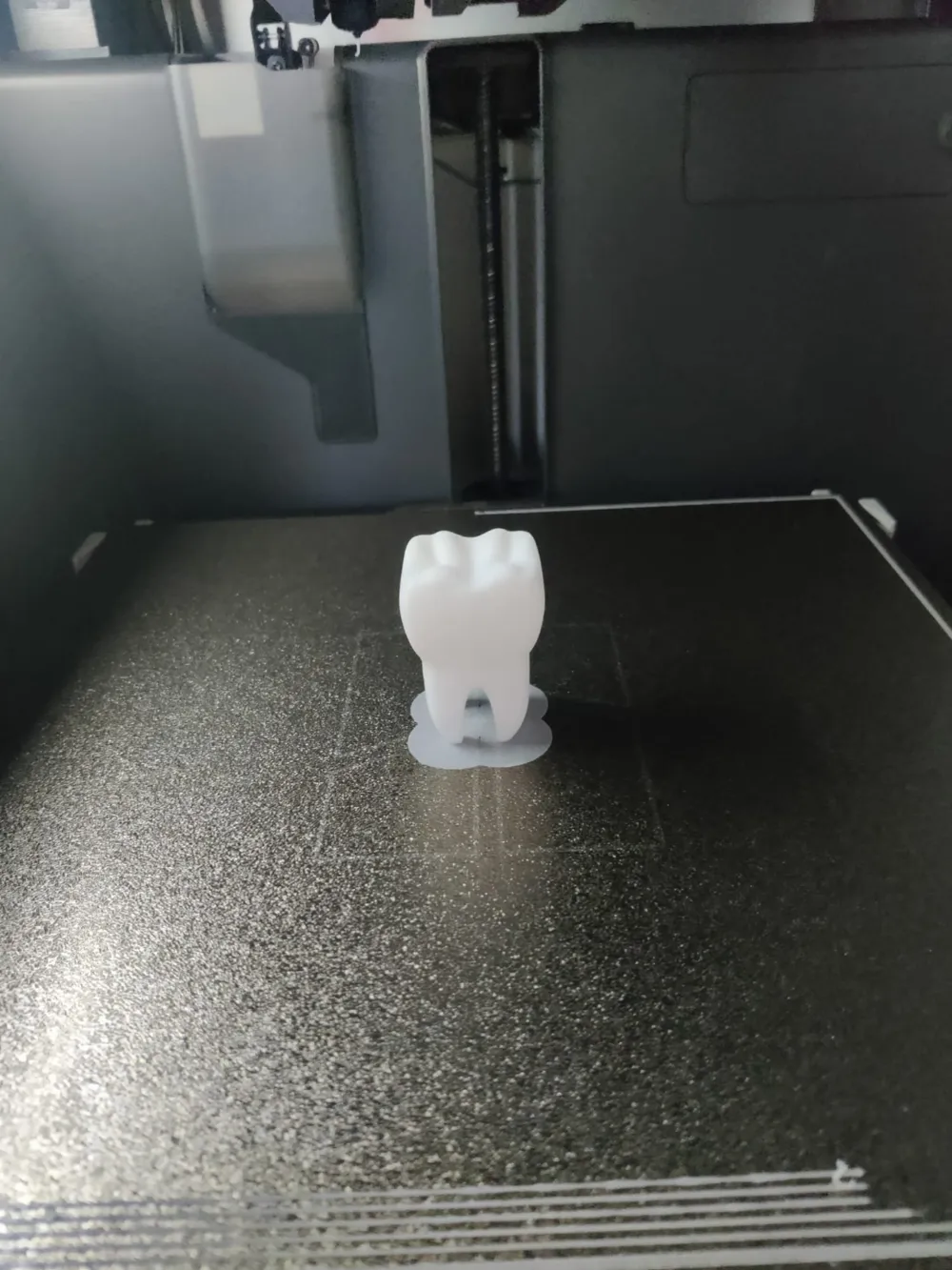 Tooth molar by 3DPrototech MakerWorld: Download Free 3D Models