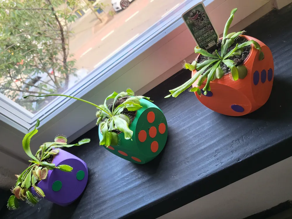 Dice plant/flower pot by Next level creations - MakerWorld
