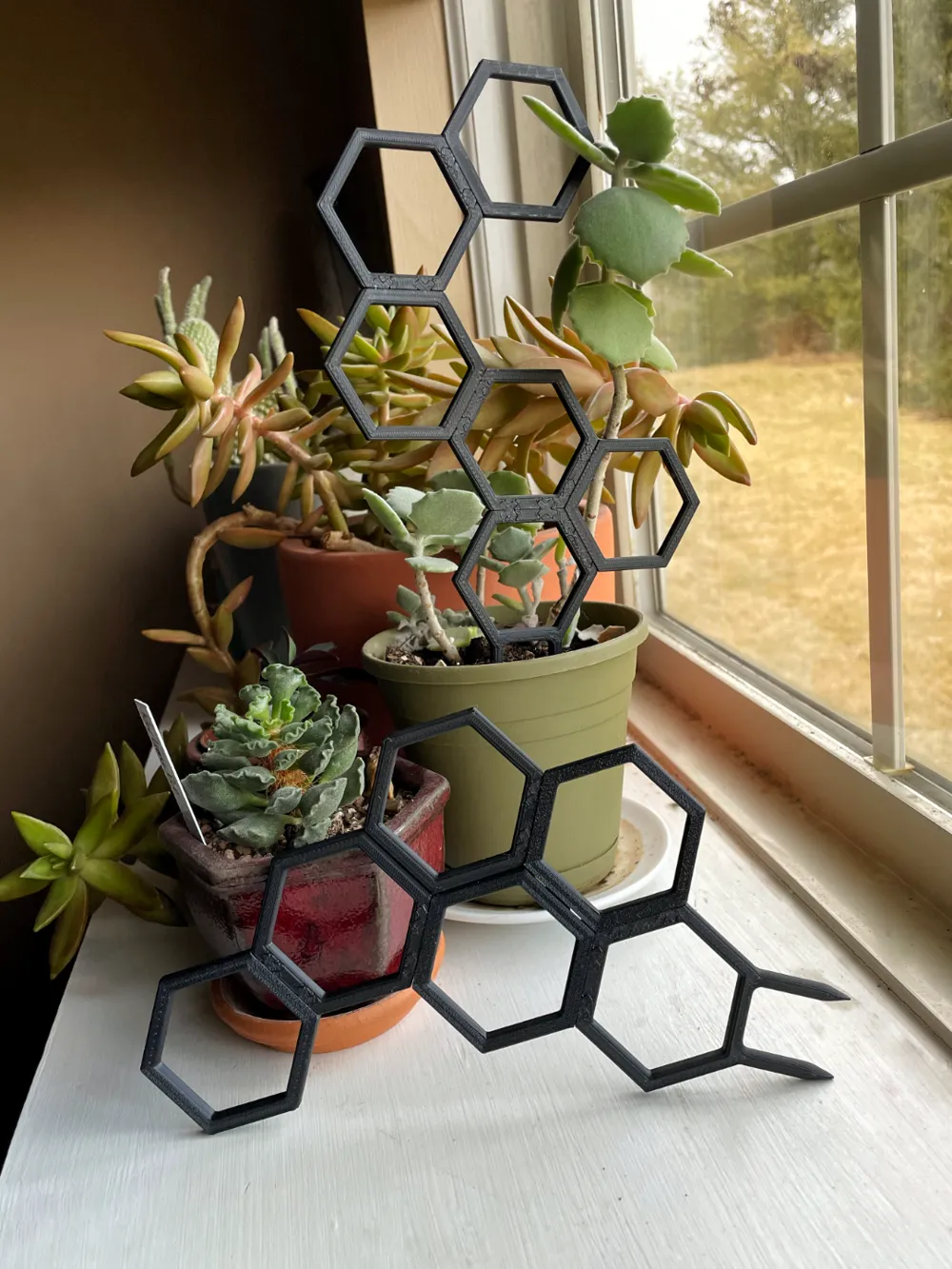 Modular Hexagon House Plant Trellis (with multiple sizes) by Gilad ...