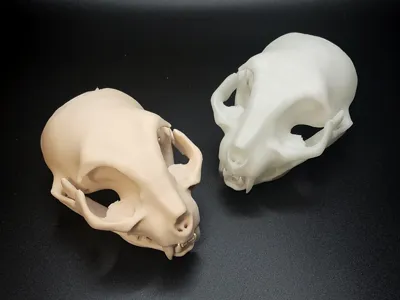 Cat Skull - Easy(ish) Print by jaminv - MakerWorld