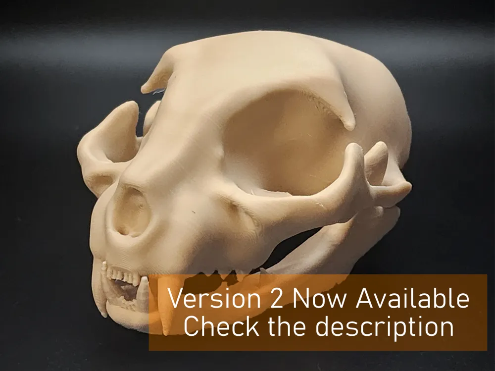 Cat Skull - Easy(ish) Print - Free 3D Print Model - MakerWorld