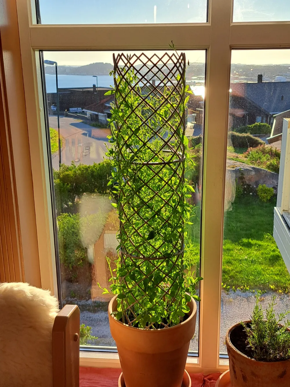 Plant support trellis stackable by ArnieO MakerWorld: Download Free 3D Models