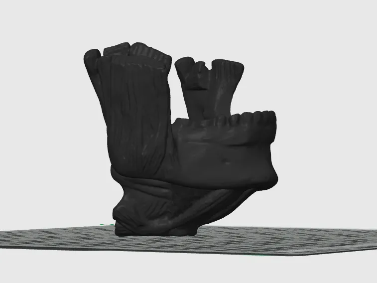 Human Mandible with Muscle Attachment Sites - Free 3D Print Model ...