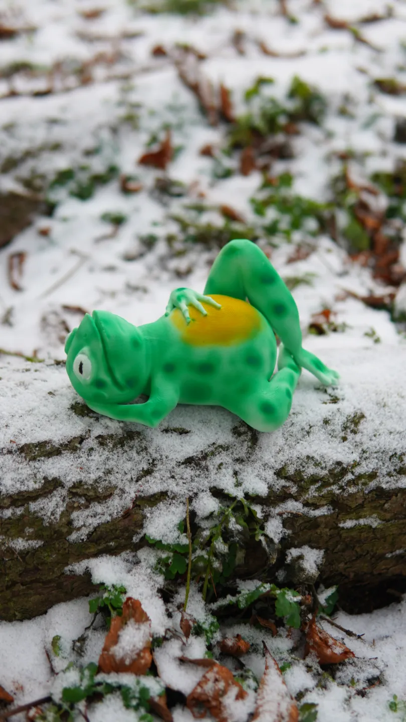Frog Rest by Mackoart - MakerWorld