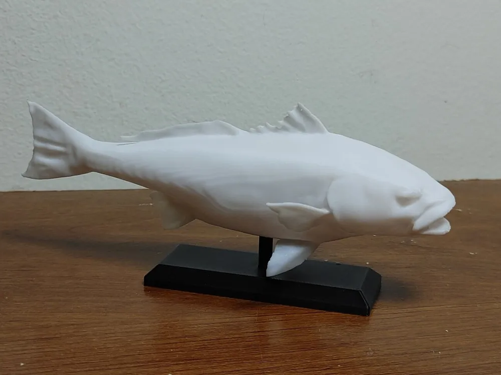 Red Drum Fish Mount by Fish Prints - MakerWorld