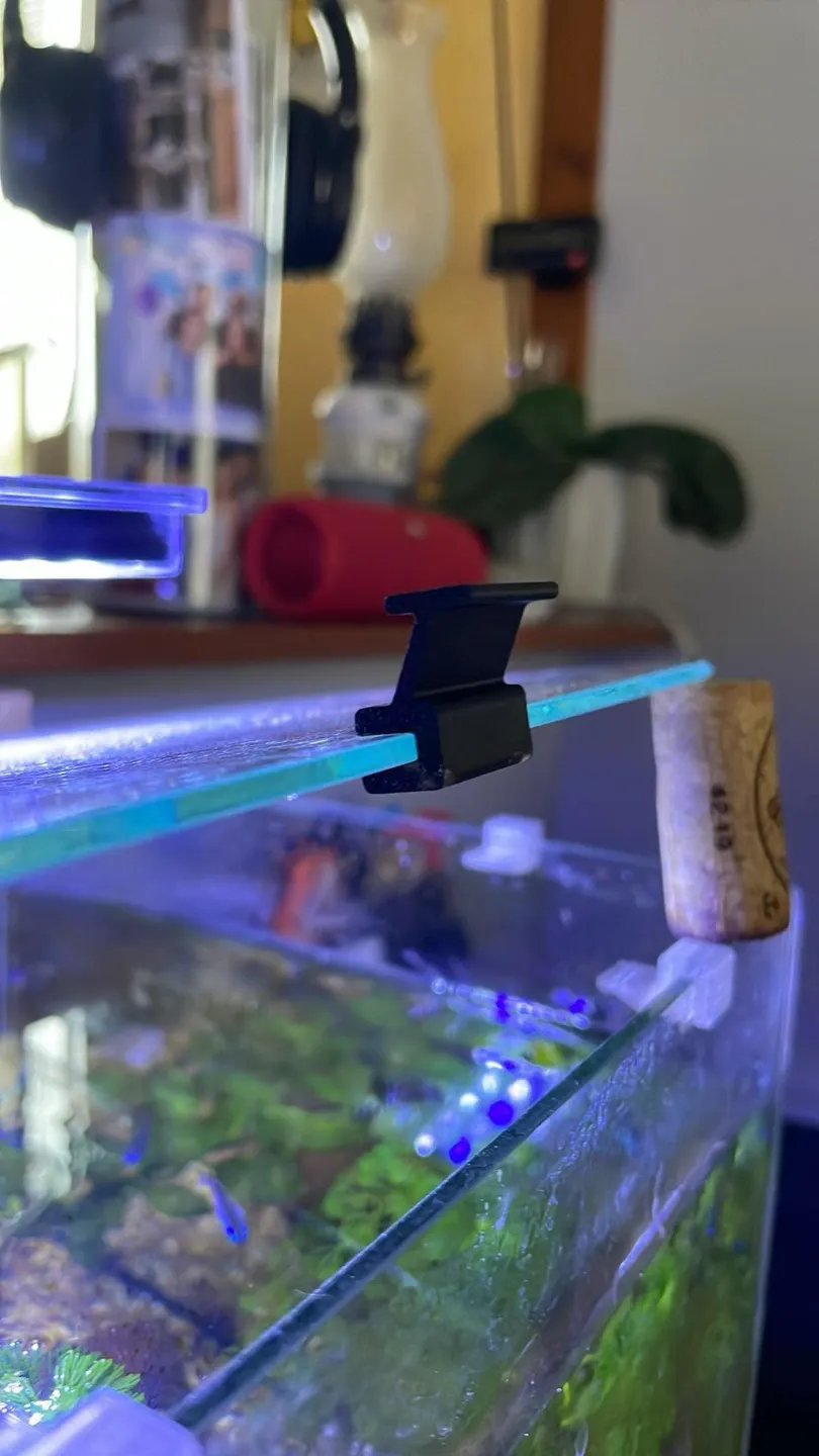 Clip aquarium / aquarium clip by R_mas - MakerWorld