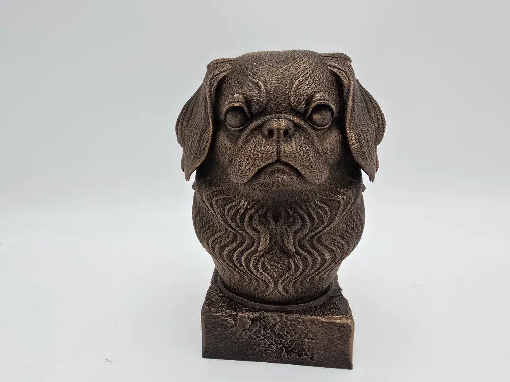 JAPANESE CHIN BUST by Messy_Panda MakerWorld: Download Free 3D Models
