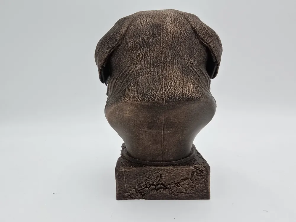 JAPANESE CHIN BUST by Messy_Panda MakerWorld: Download Free 3D Models