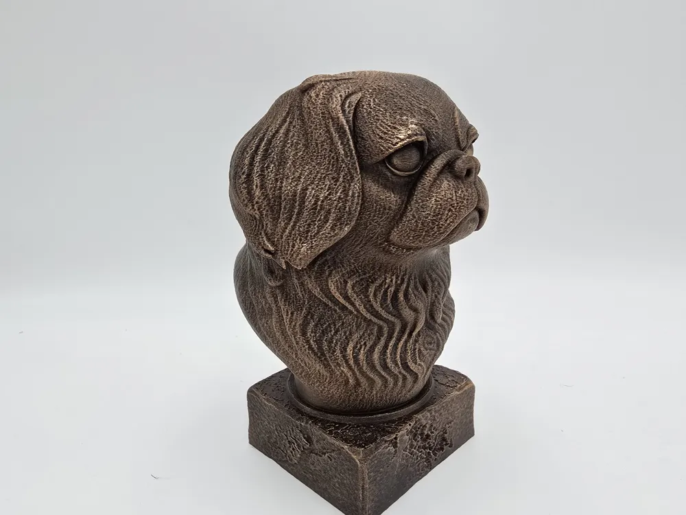 JAPANESE CHIN BUST by Messy_Panda MakerWorld: Download Free 3D Models